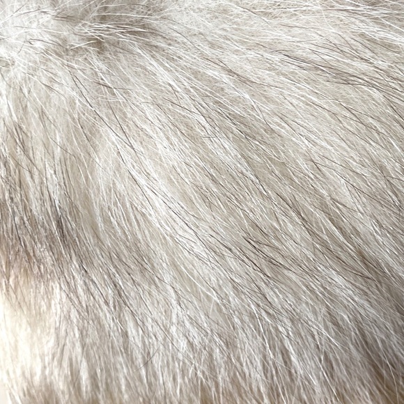 Accessories | Nwt Authentic Arctic Fox Tail Keychain Accessory | Poshmark